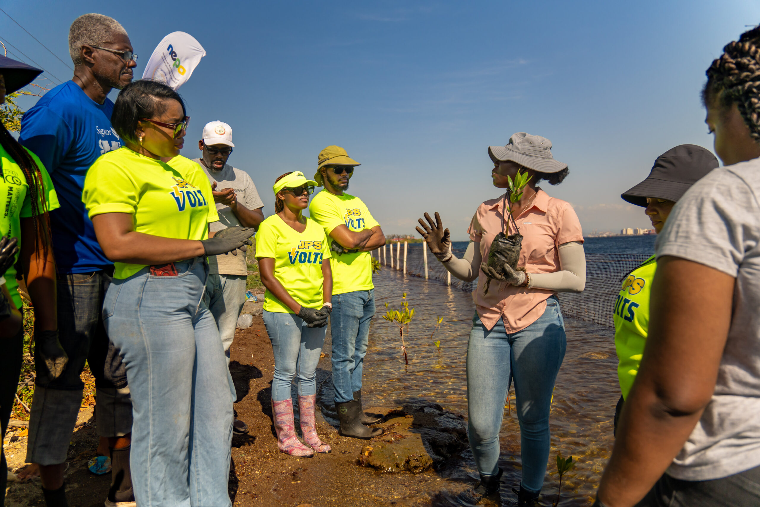 JPS Foundation partners with NEPA to plant 300 mangrove saplings